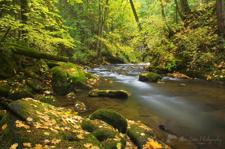 Whatcom Creek Bellingham, Washington - Alan Crowe Photography